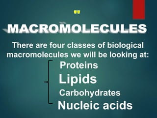 Biological-Macromolecules-2015.ppt