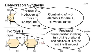 Biological-Macromolecules.pptx