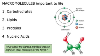 Biological-Macromolecules.pptx
