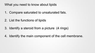 Biological-Macromolecules-for-Stem11.pptx