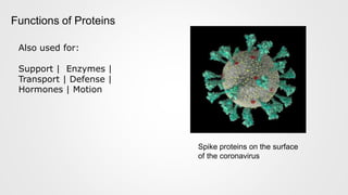 Biological-Macromolecules-for-Stem11.pptx