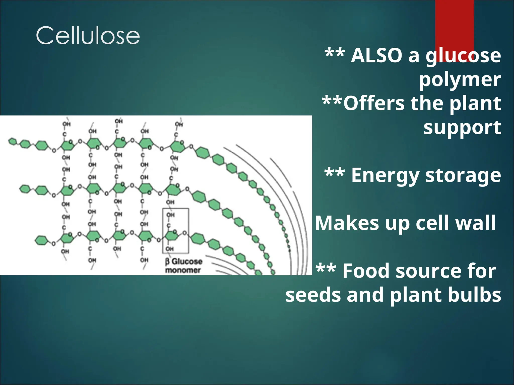 Biological-Macromolecules-Week-7 b b .ppt