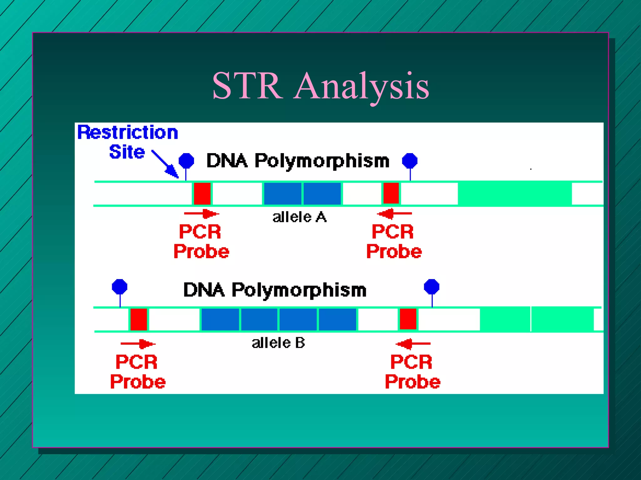 biological markers | PPT