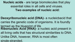 BIOLOGICAL MOLECULES-BSN1 General Biology | PDF
