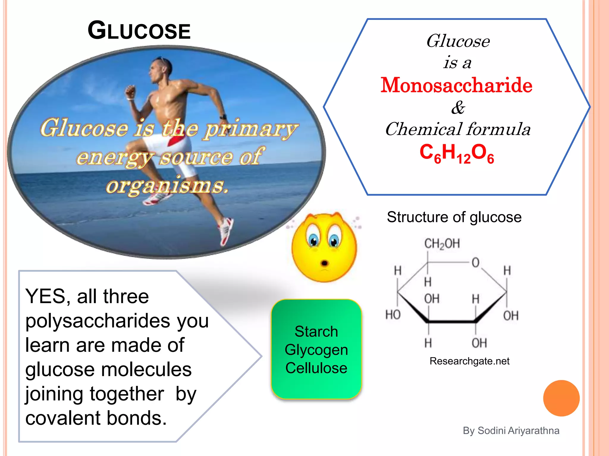 Biological molecules | PPTX