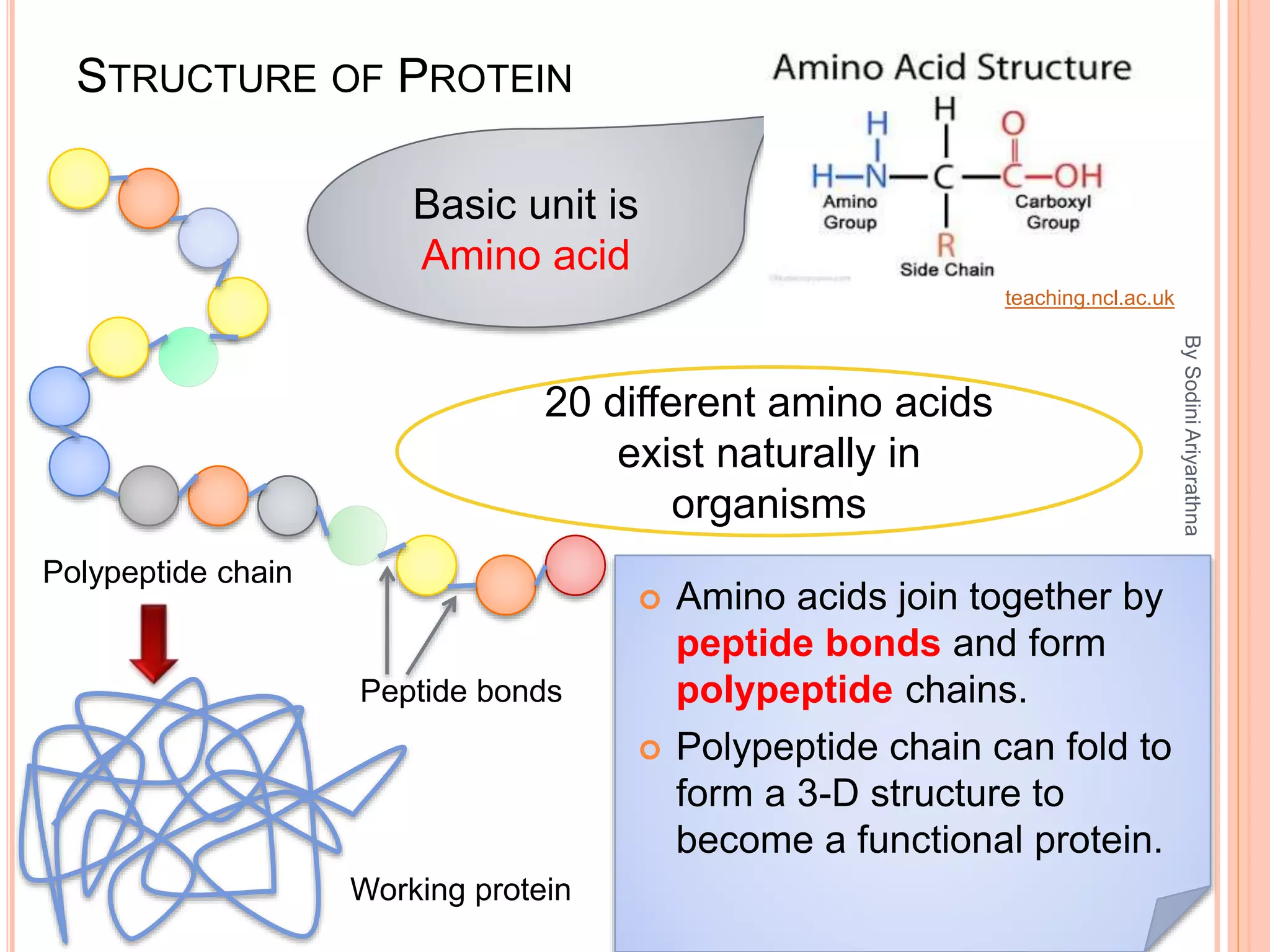 Biological molecules | PPTX