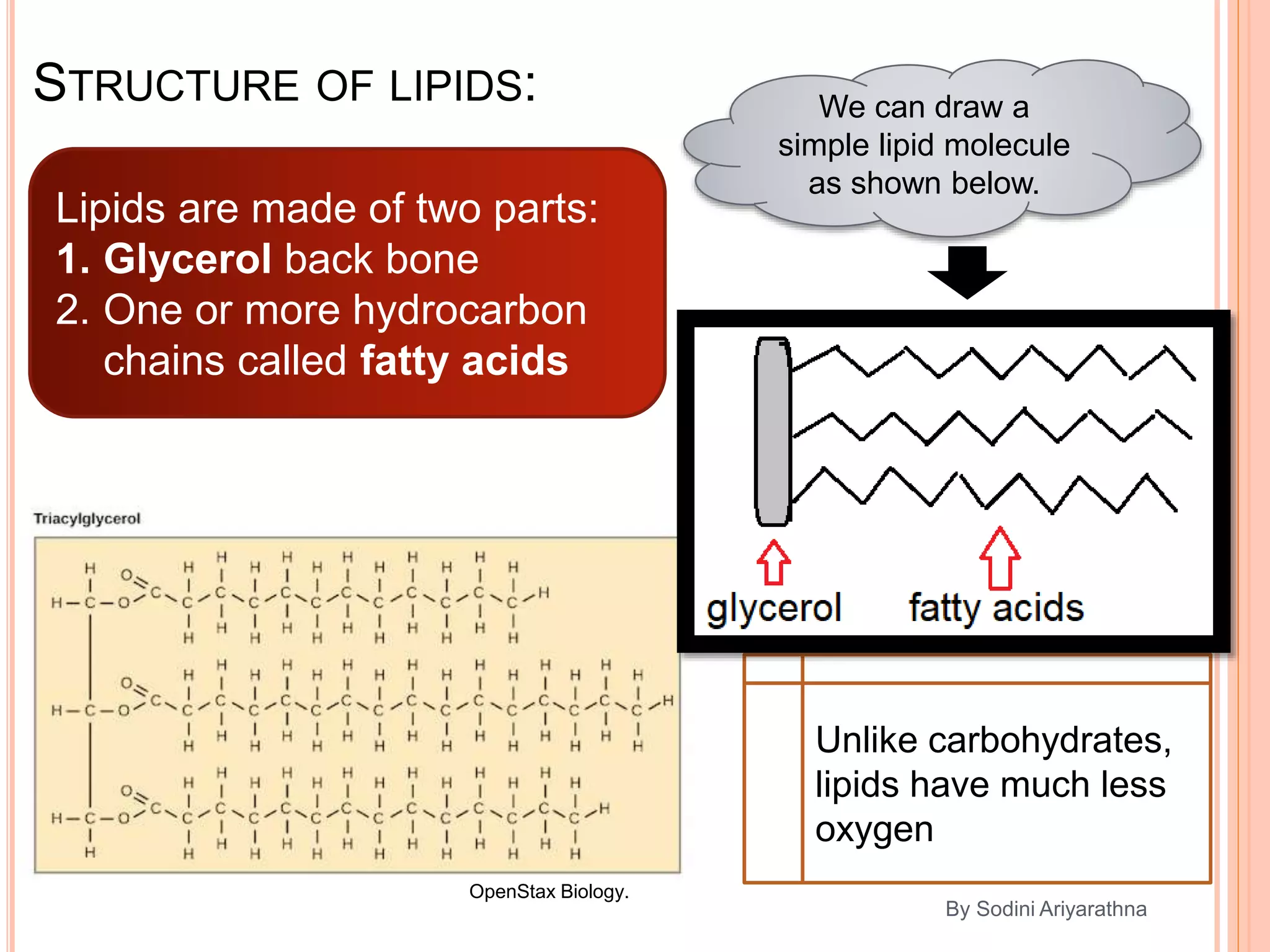 Biological molecules | PPT