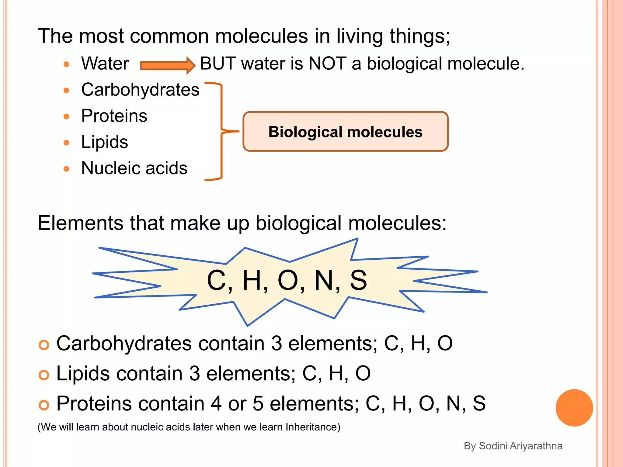 Biological molecules | PPTX
