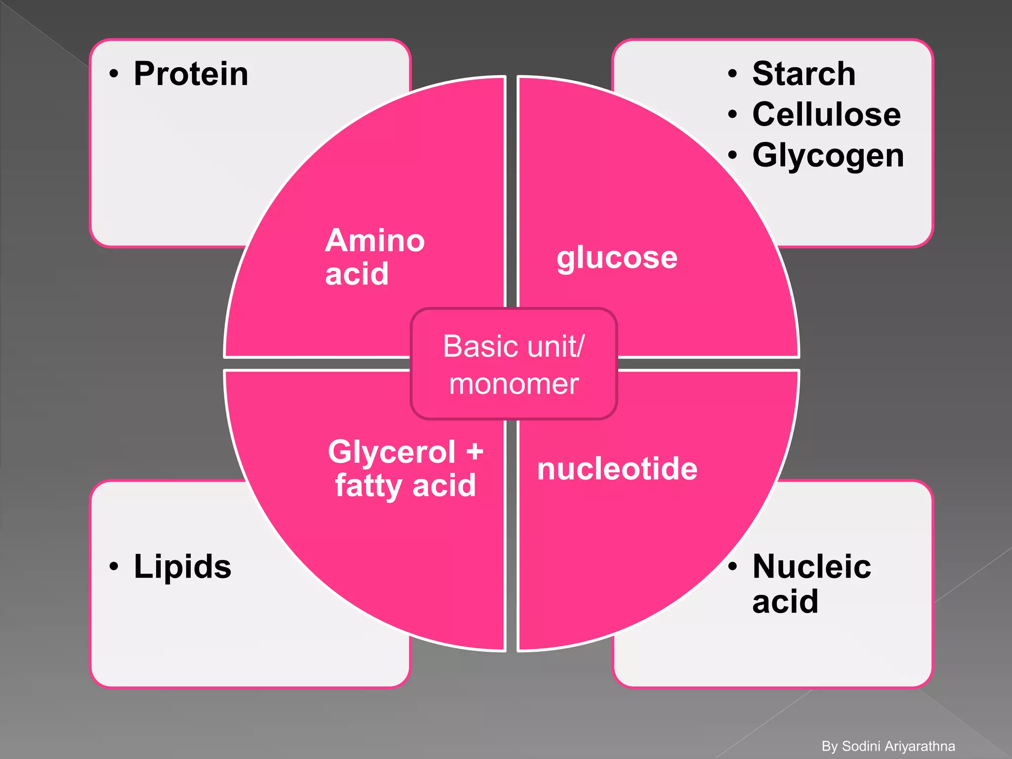 Biological molecules | PPTX