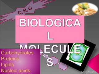 Biological molecules | PPT