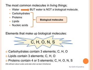 Biological molecules | PPT