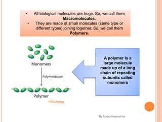 Biological molecules | PPT