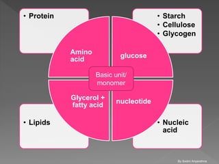 Biological molecules | PPT