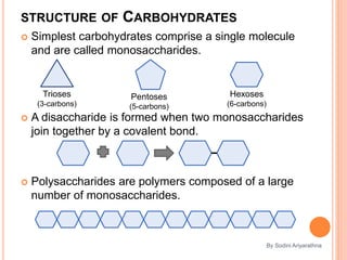 Biological molecules | PPT