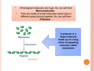 Biological-molecules, Proteins others pptx | PPT