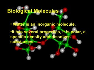 Biological Molecules Notes | PPT