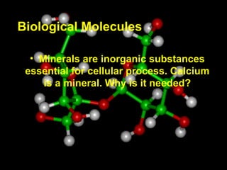 Biological Molecules Notes | PPT