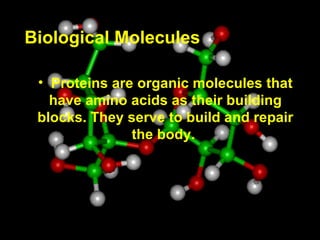Biological Molecules Notes | PPT