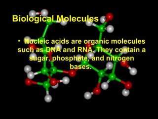 Biological Molecules Notes | PPT