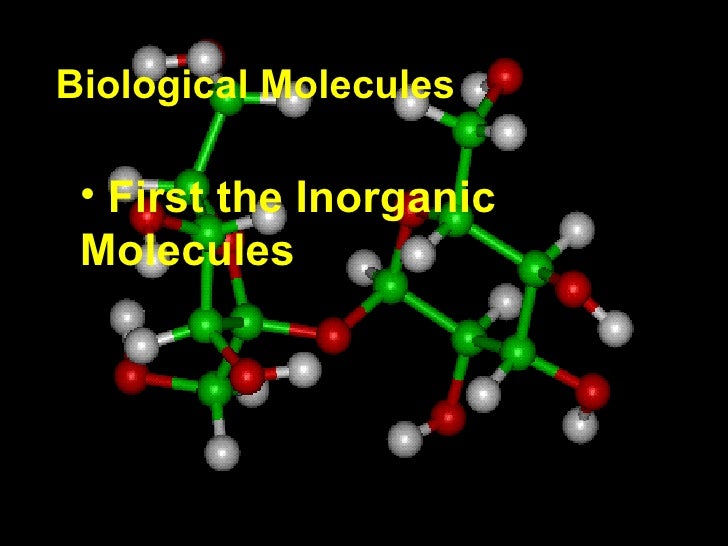 Biological Molecules Notes