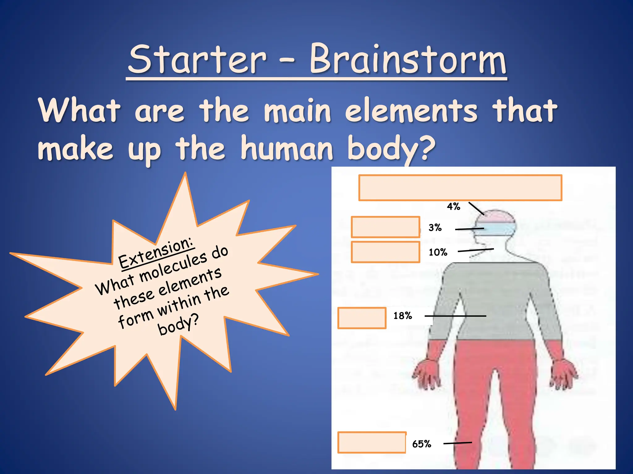 Biological molecules powerpoint summary. | PPT