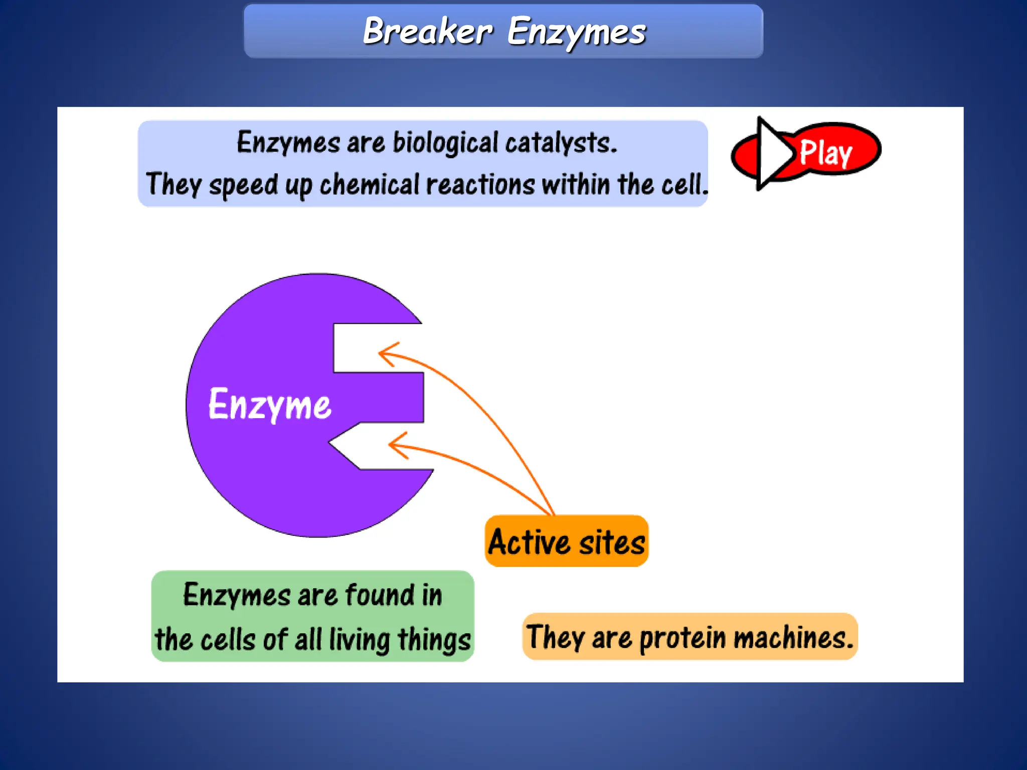 Biological molecules powerpoint summary. | PPT