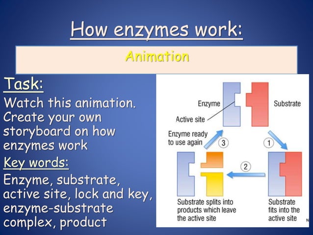 Biological molecules powerpoint summary. | PPT