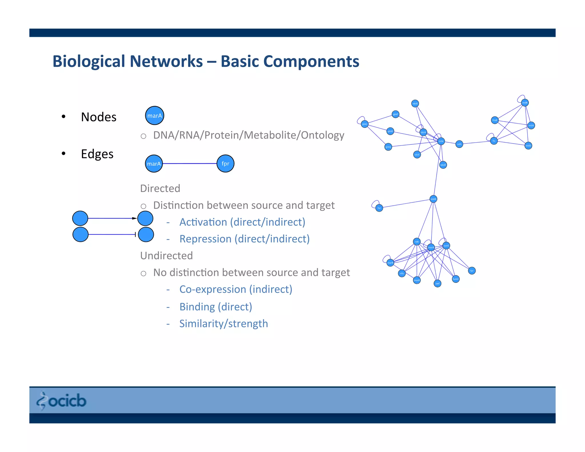 Biological networks | PDF