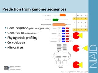 Network components and biological network construction methods | PDF