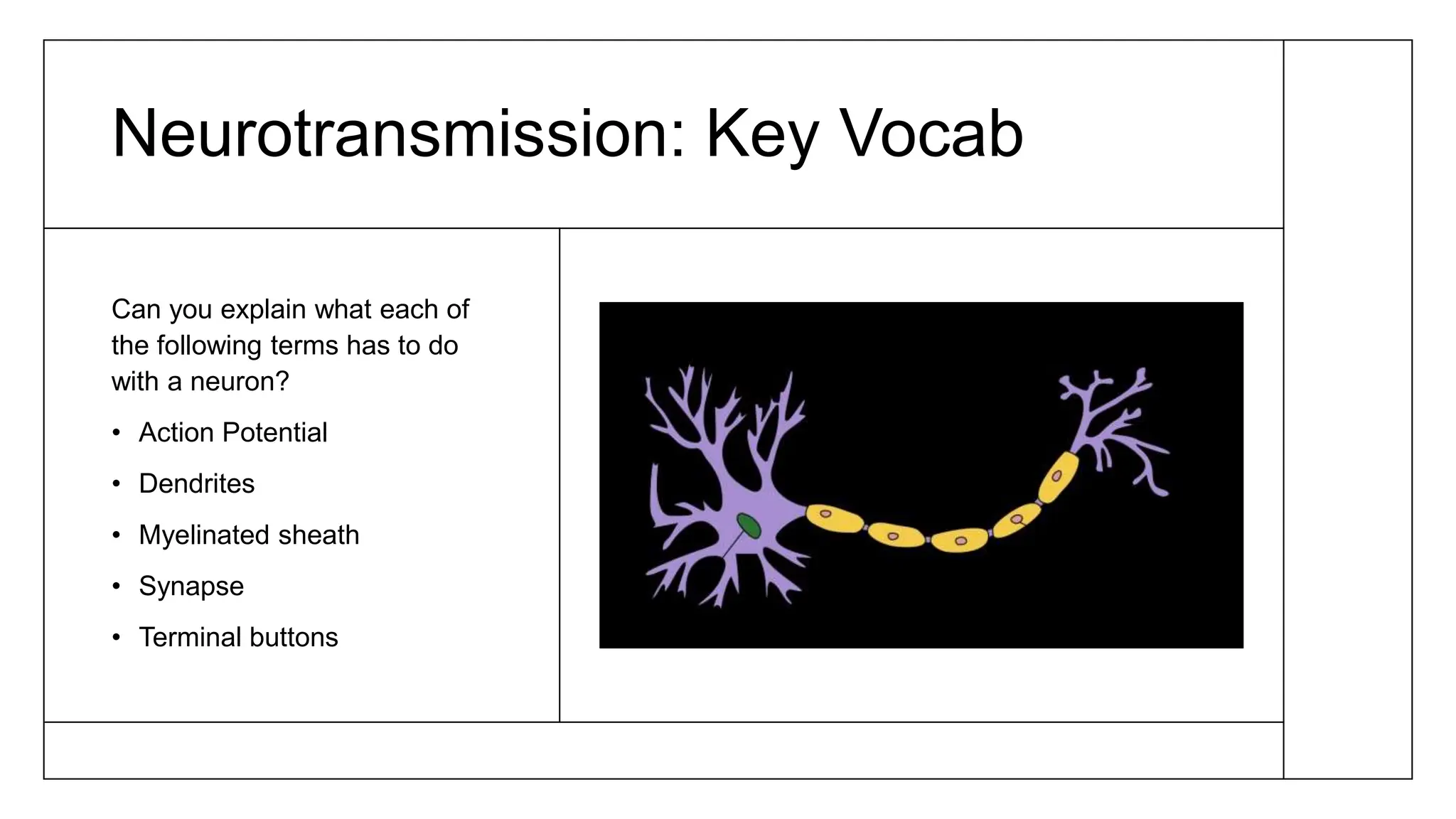 Biological Psychology - Neurotransmission.pptx