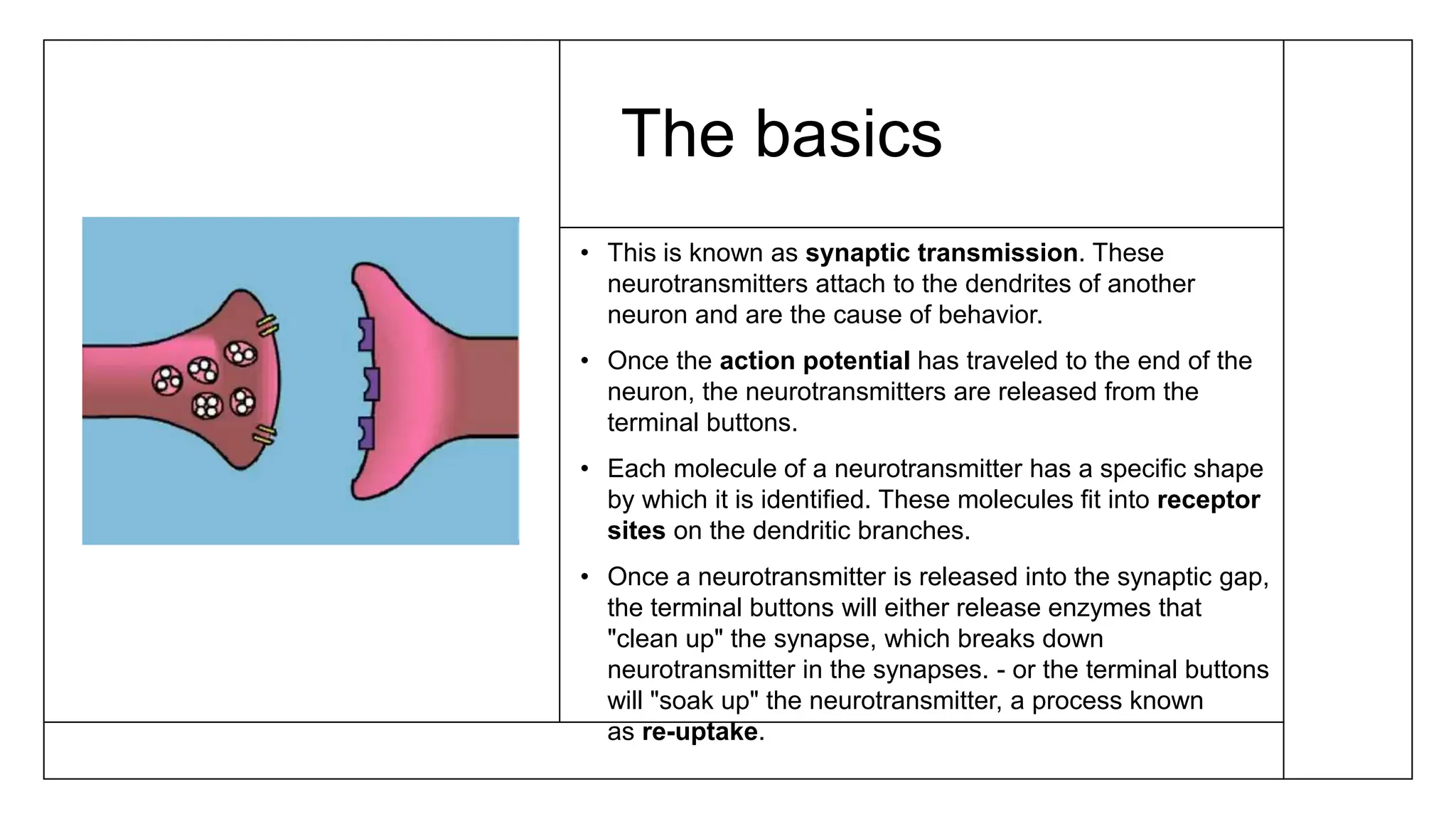 Biological Psychology - Neurotransmission.pptx