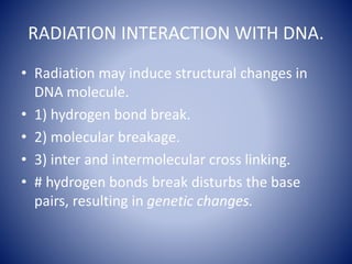 BIOLOGICAL%20EFFECTS%20OF%20RADIATION.pptx