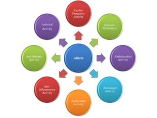 Biological Allicin (1).pptx