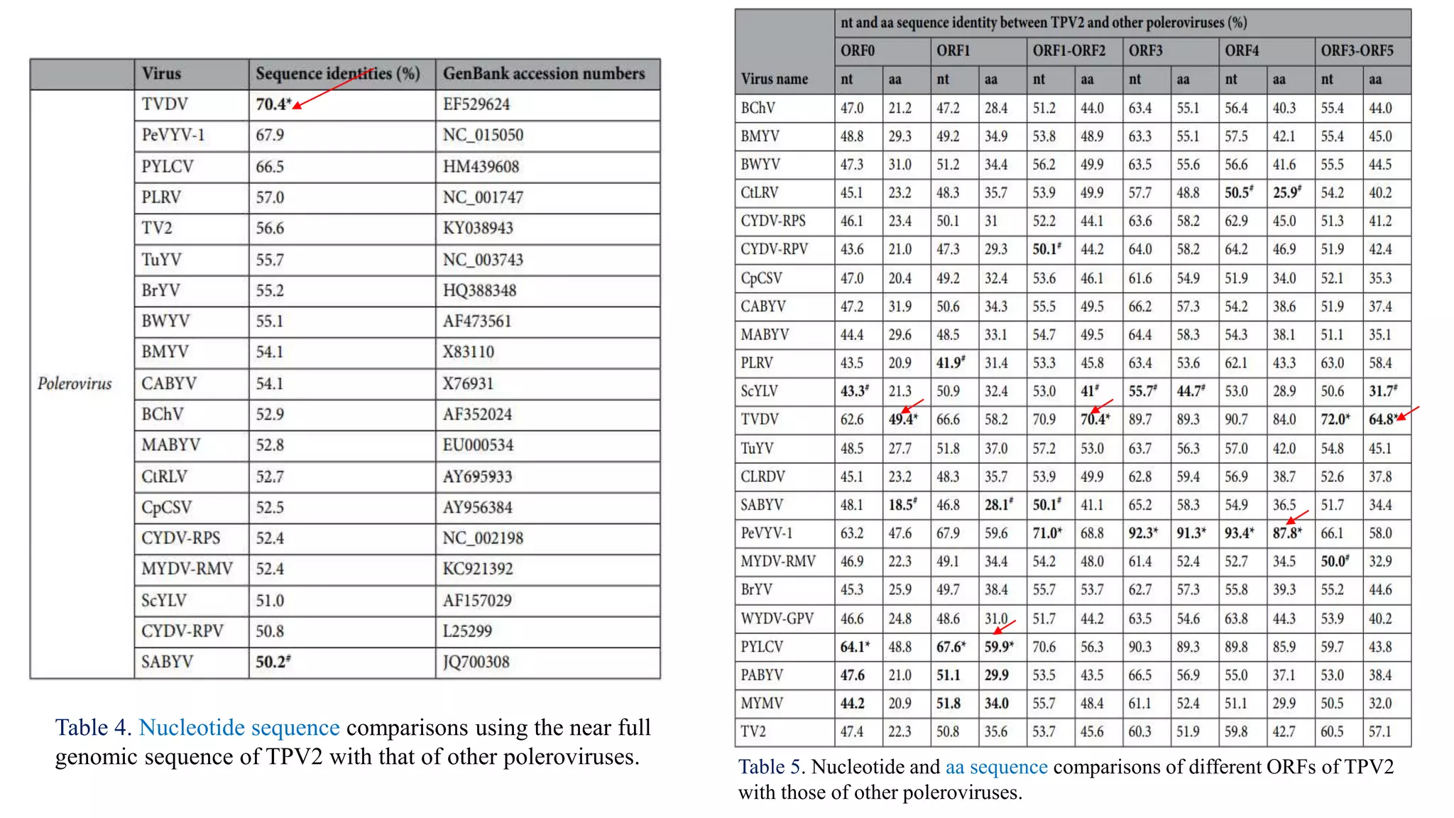 Biological Analysis presentation1.pptx
