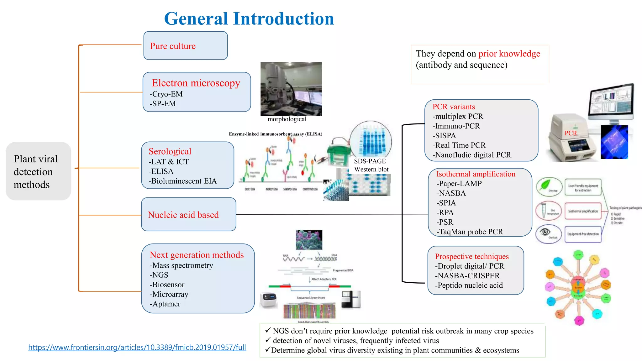 Biological Analysis presentation1.pptx
