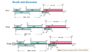 Biological Analysis presentation1.pptx