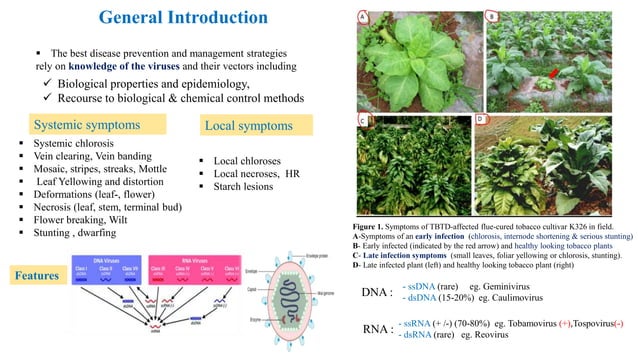 Biological Analysis presentation1.pptx