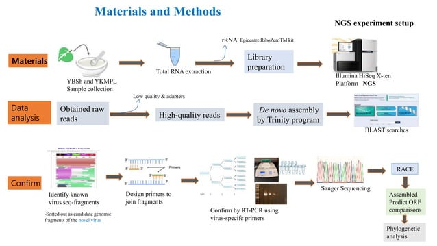Biological Analysis presentation1.pptx
