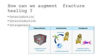 BIOLOGICAL AND BIOPHYSICAL TECH TO ENHCNE FRACTURE REPAIR.pptx