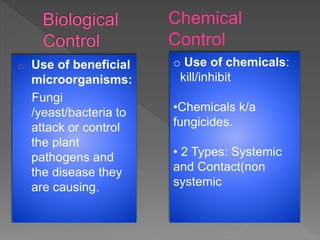Biological and chemical control of Foliar Fungi | PPTX