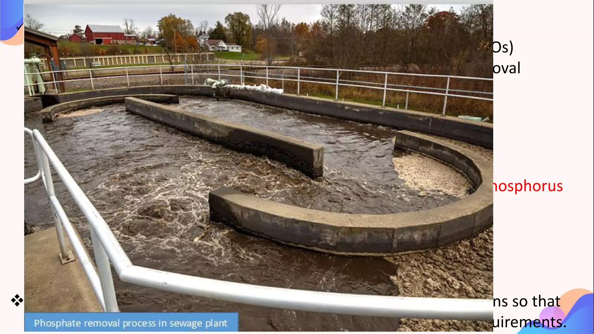 Biological and chemical methods for recovery of nutrients from liquid ...