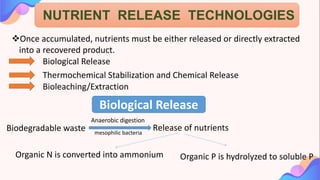 Biological and chemical methods for recovery of nutrients from liquid ...
