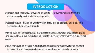 Biological and chemical methods for recovery of nutrients from liquid ...