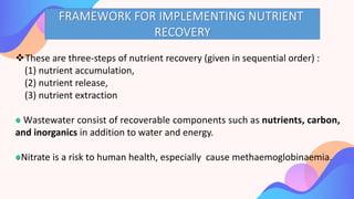 Biological and chemical methods for recovery of nutrients from liquid ...
