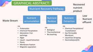 Biological and chemical methods for recovery of nutrients from liquid ...