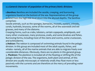 Biological and chemical oceanography | PPTX