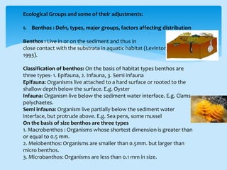 Biological and chemical oceanography | PPTX