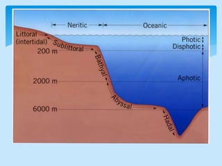 Biological and chemical oceanography | PPTX