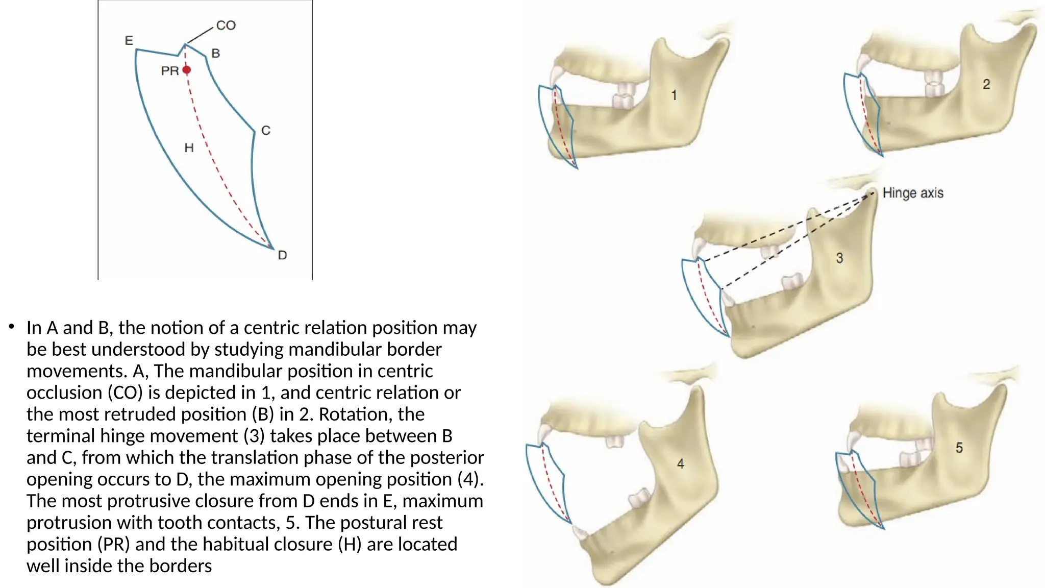 Biological and Clinical Considerations in Making Jaw Relation.pptx