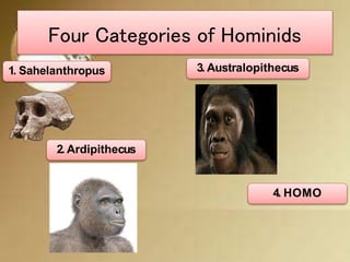 Biological and cultural evolution from australophitecus to homosapiens.pptx